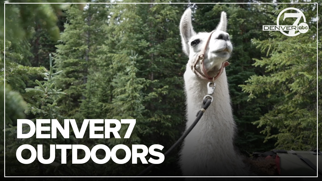 Denver7 News Live | Denver7.com