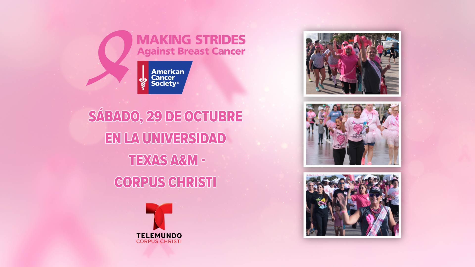 Making Strides Against Breast Cancer