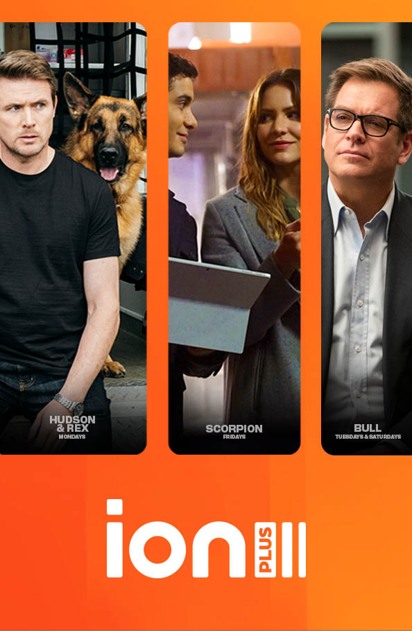 ION Plus