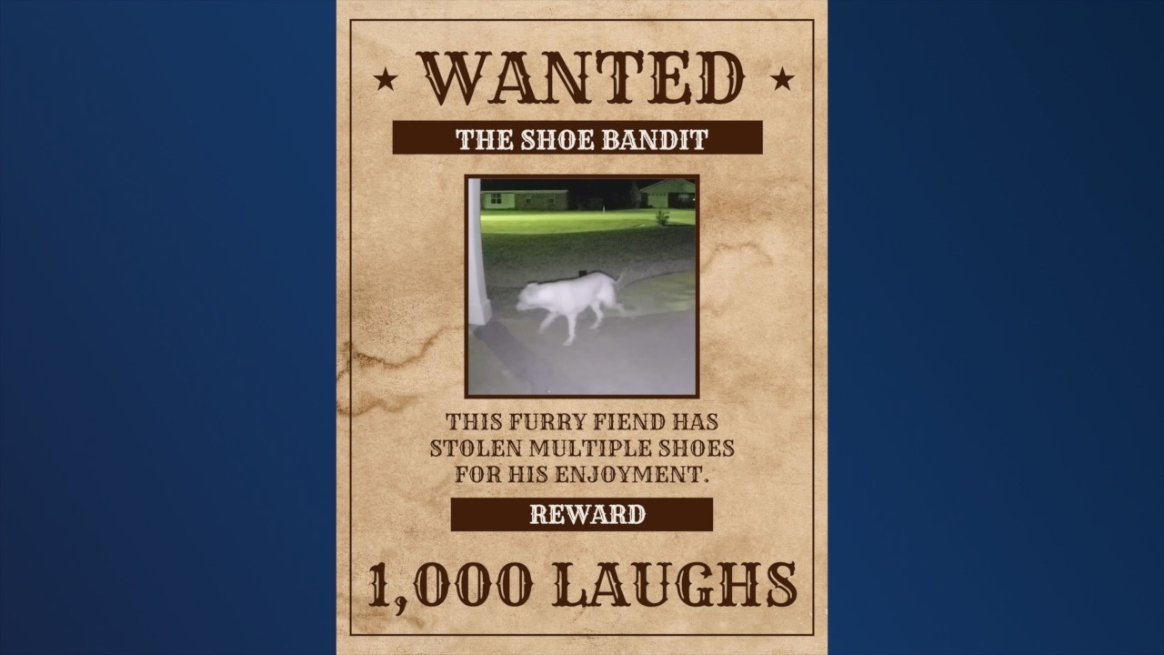 Neighbors in St Mark’s are looking for your help to identify “The Shoe ...