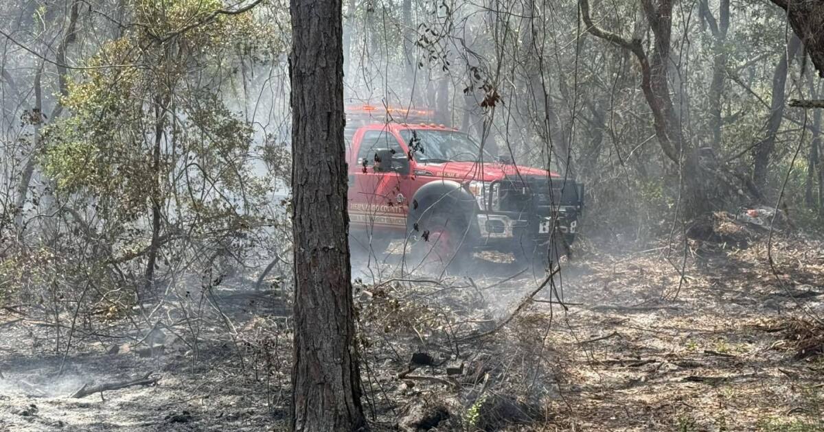 Brush fire contained in Hernando County; investigation underway for arson