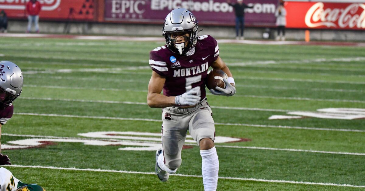 Five from Montana State, four from Montana named STATS Perform FCS All ...