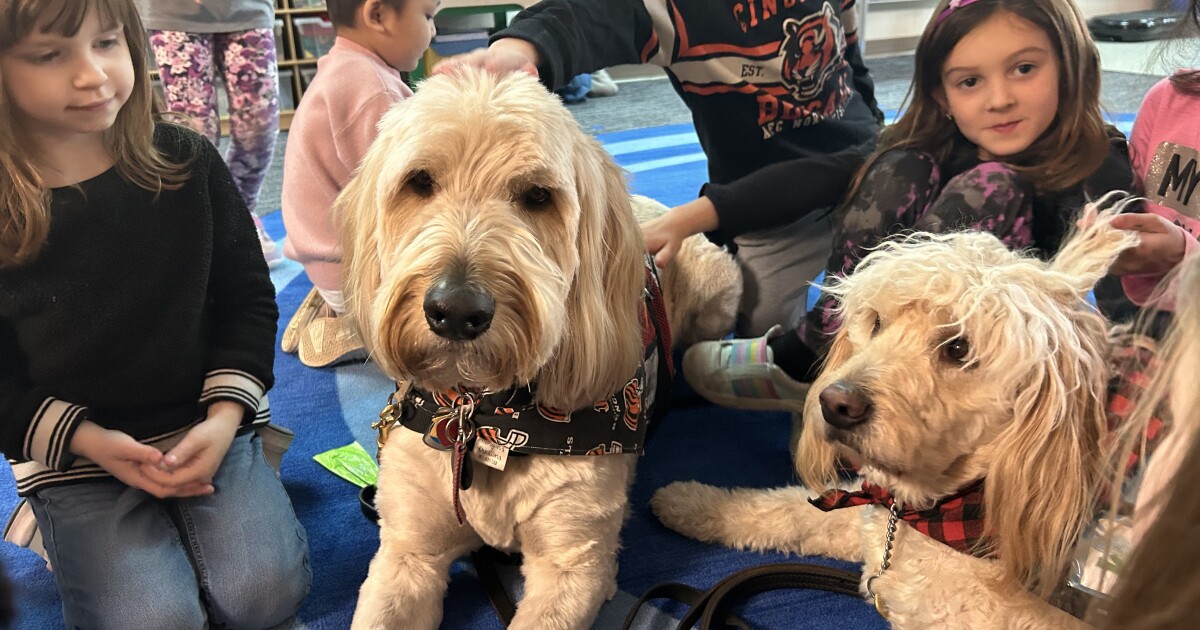 Mason Schools offers mental health support with therapy dogs at every ...