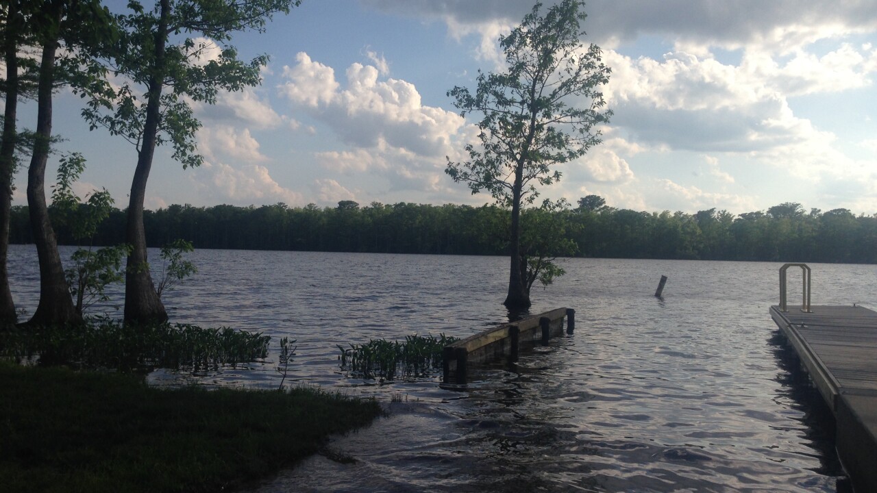 N.C. officials continue to warn of health risk from algal bloom in ...