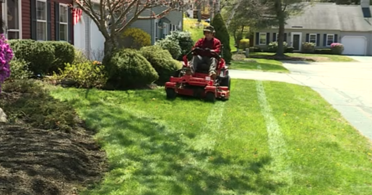 The grass isn't always greener: early fall lawn prep tips