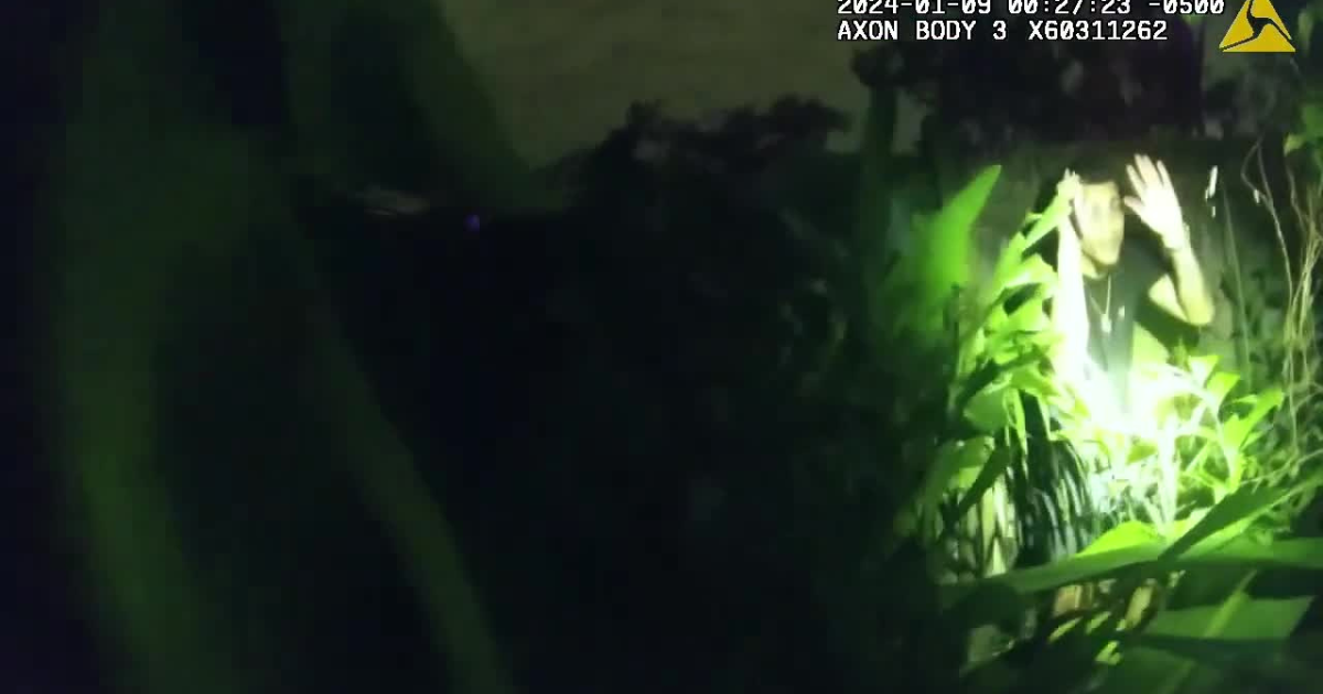 Watch Suspect Arrested After Fleeing From Hillsborough Deputies