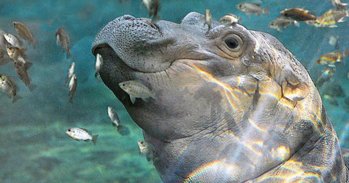 Don't miss WCPO's hour-long Fiona special