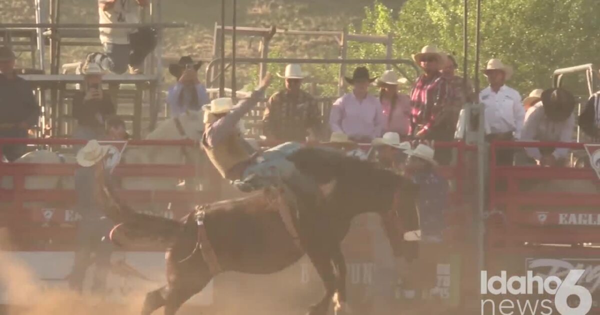 Opening night of the 2025 Eagle Rodeo