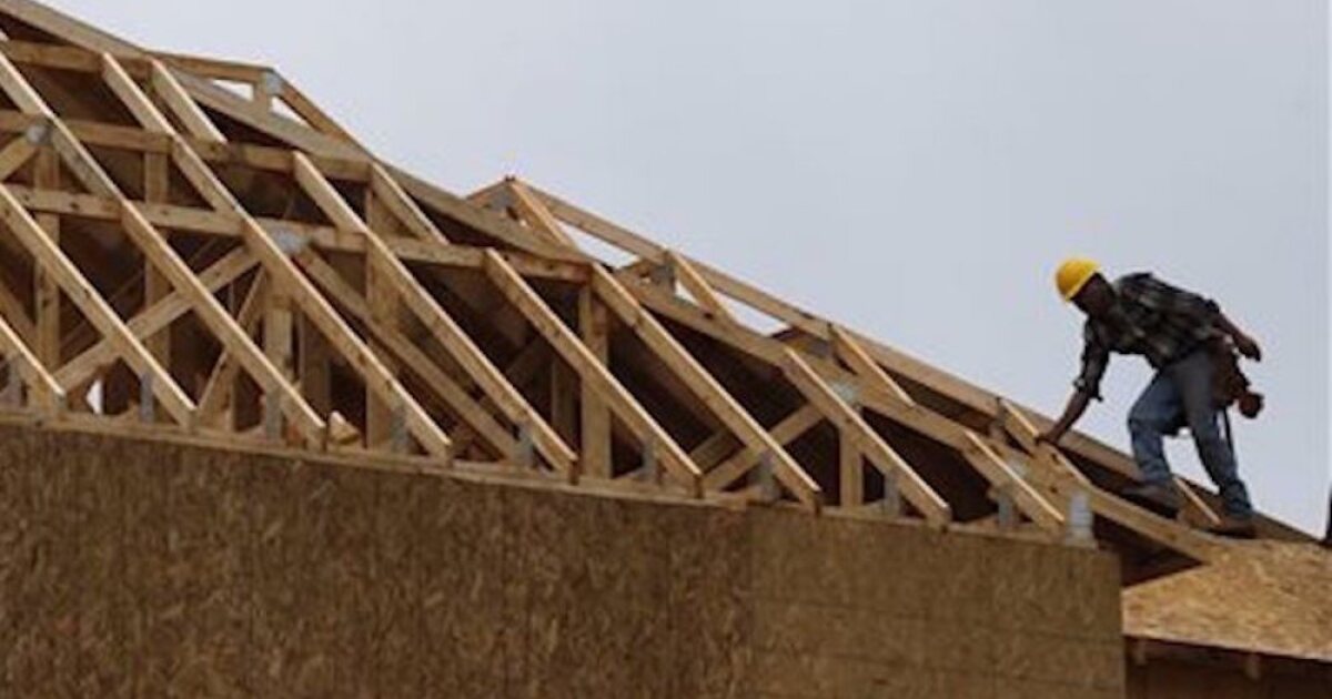 The price of lumber at its best in years