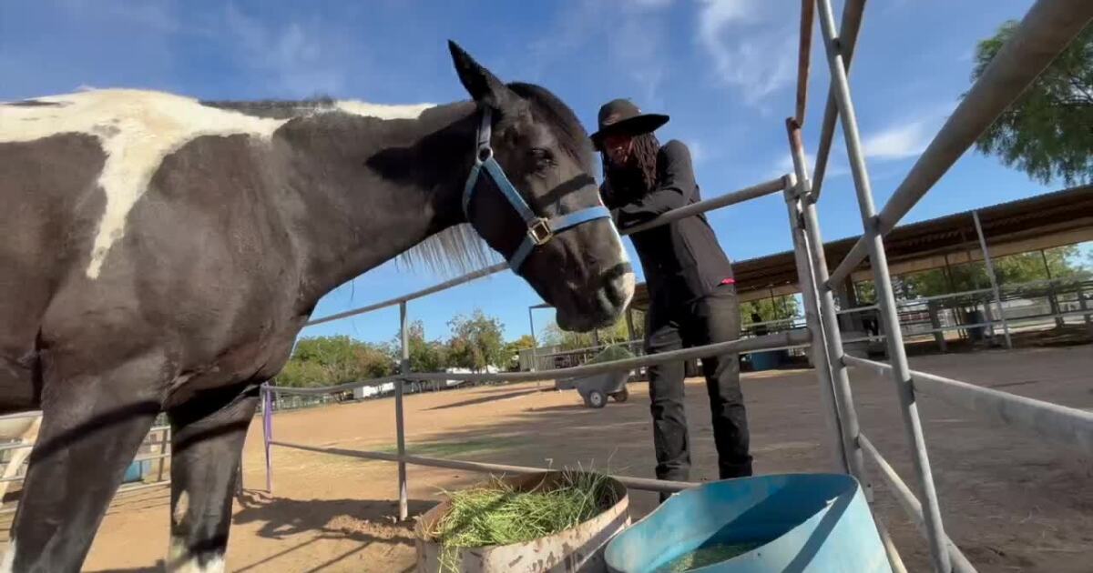 Local cowboy expands business to new Gilbert ranch during Black ...
