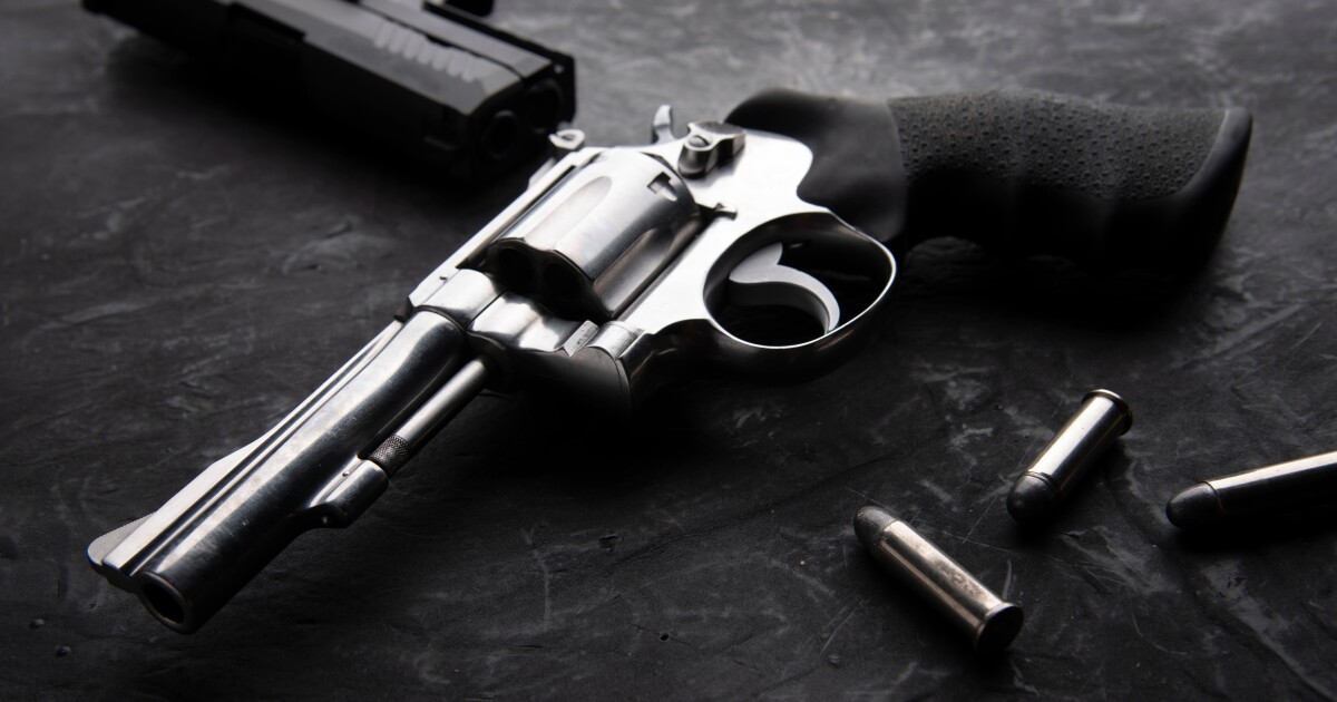 Some Wisconsinites demand stronger gun laws during Day of Action in Madison