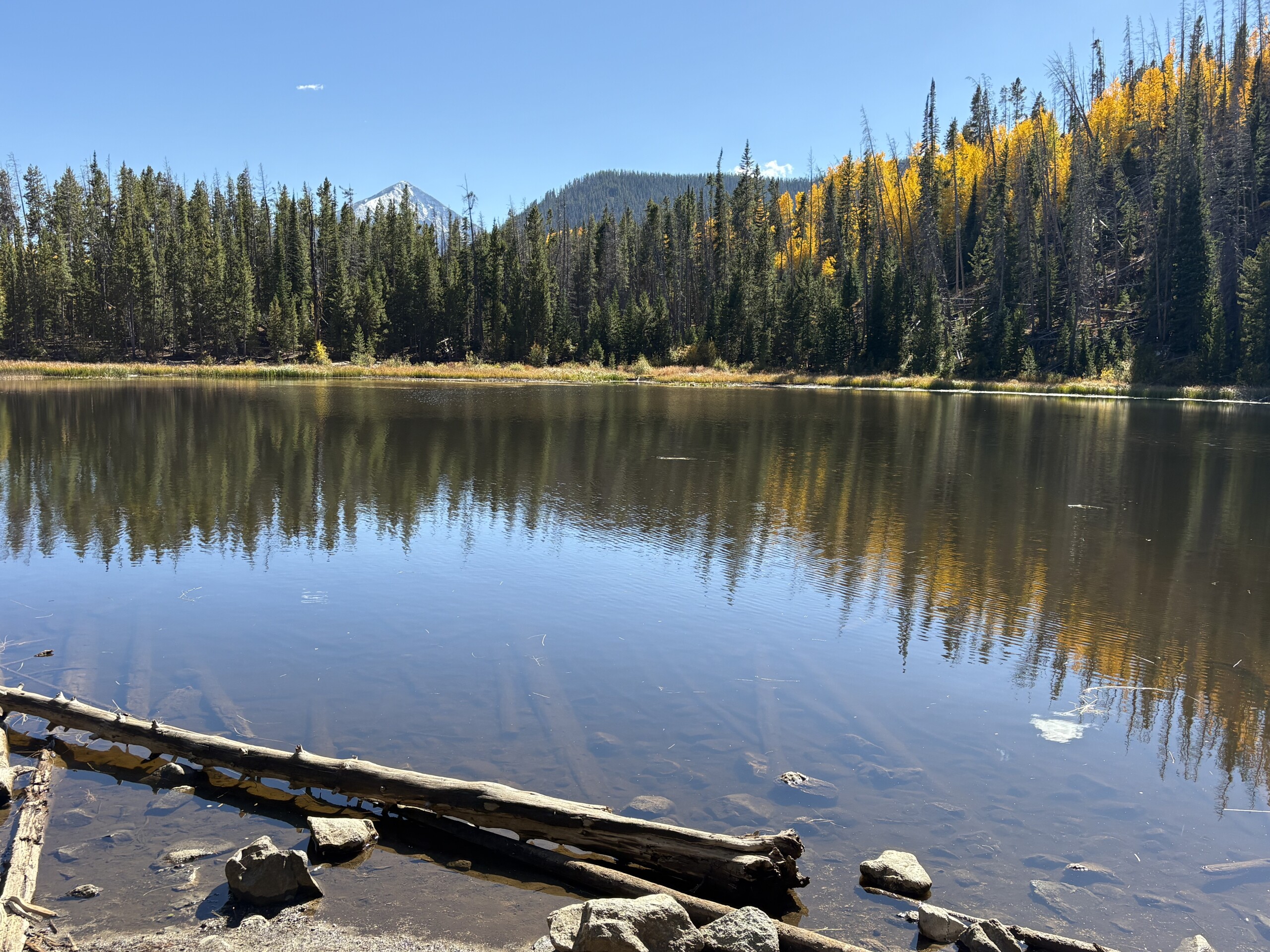 Great fall hikes: Salt Lick Trail to Lily Pad Lake