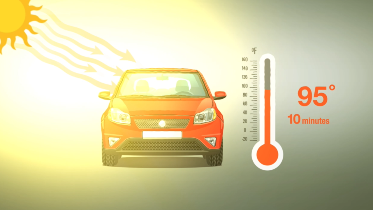 Car heatstroke deaths more common than you think