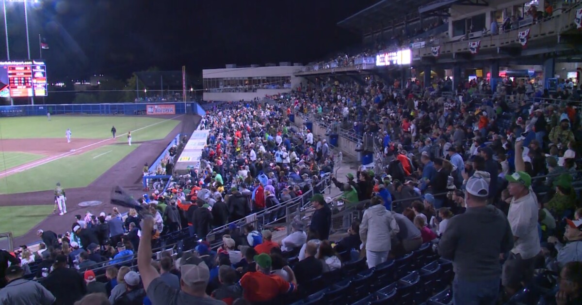 Heading to a Norfolk Tides game? Here's how much it will cost you