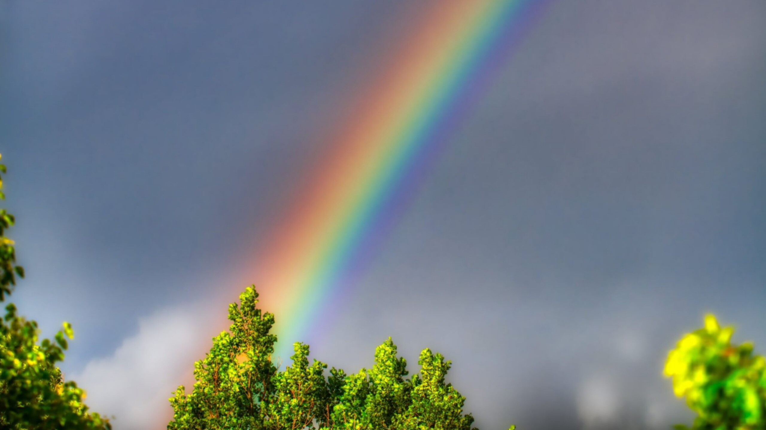 The science behind rainbows and how they work