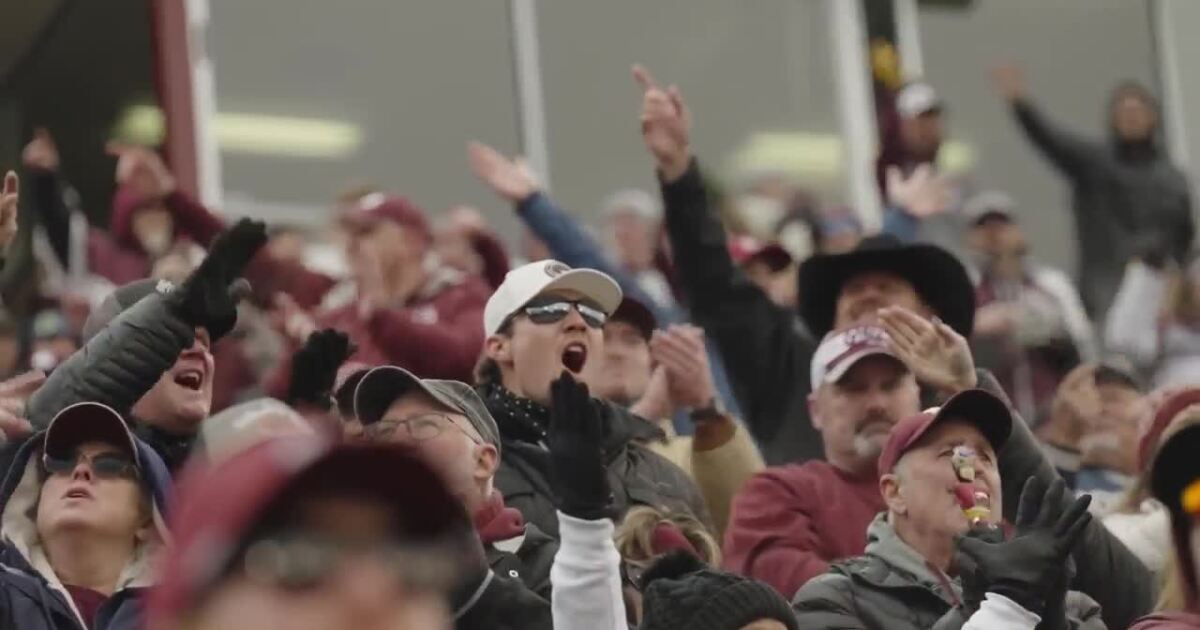 Website launched for Griz fans interested going to national ...