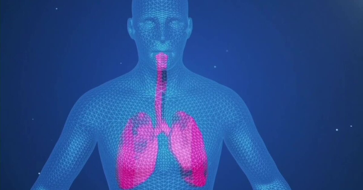 Protecting your lungs by exercising and controlling what you breathe in