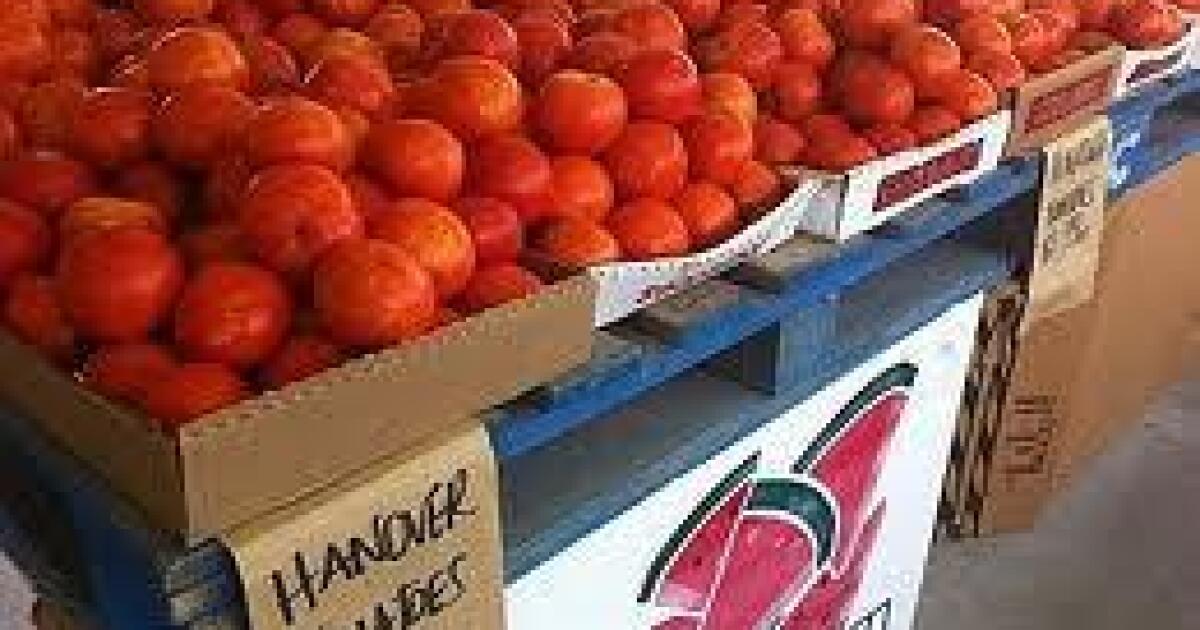 Photos: Hanover Tomato Festival