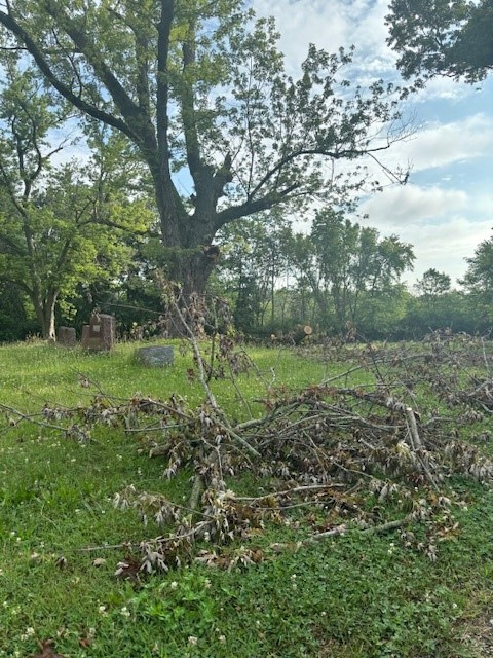 “Disrepair and deplorable”: Conditions at local cemetery prompt judge’s action
