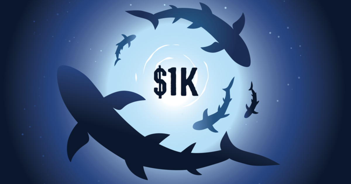 You can earn $1,000 for watching Shark Week