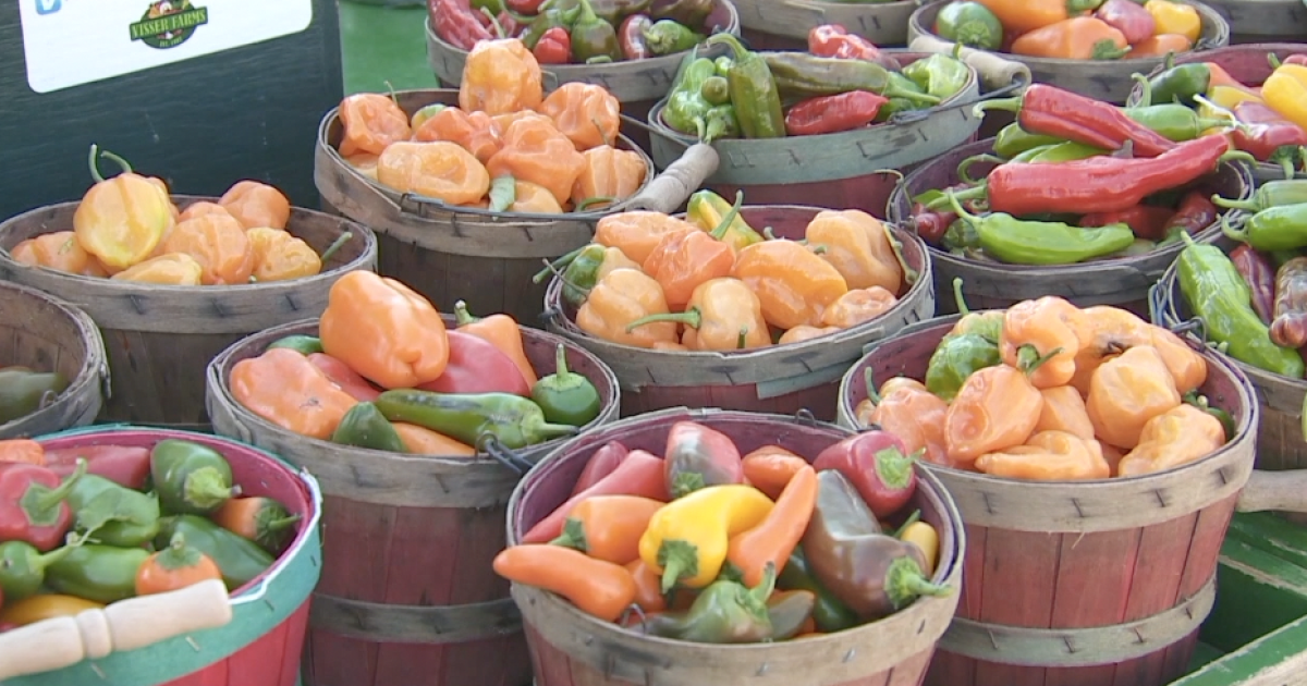 Ottawa Food's key role left in limbo after losing coordinator