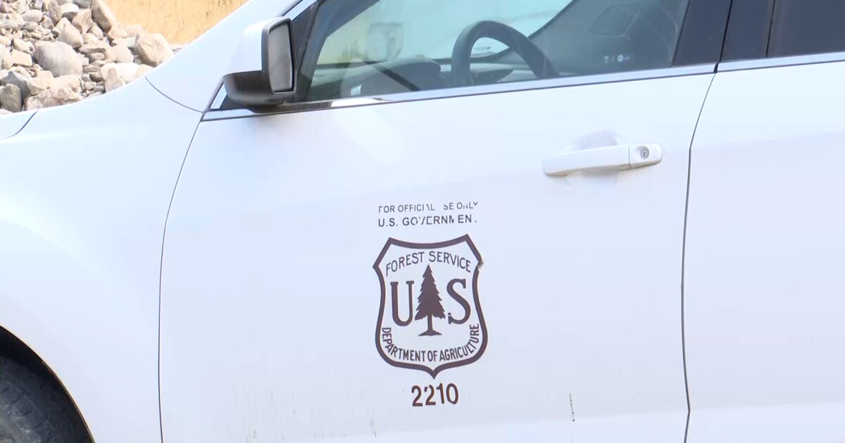 US Forest Service is hiring for seasonal positions in Montana