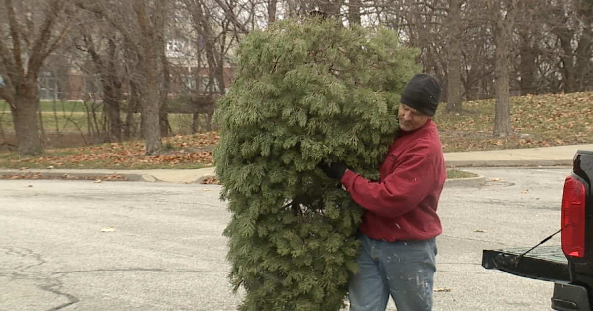 Free Christmas tree recycling available across the KC area Free Christmas tree recycling available across the KC area