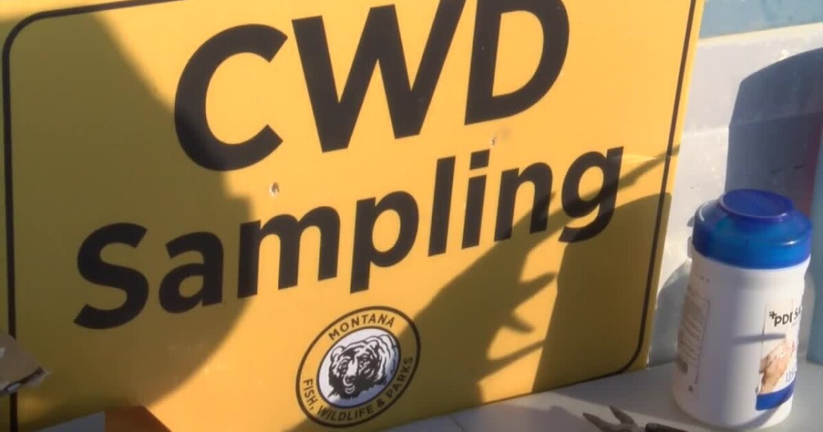 Chronic wasting disease detected in a deer near Deer Lodge