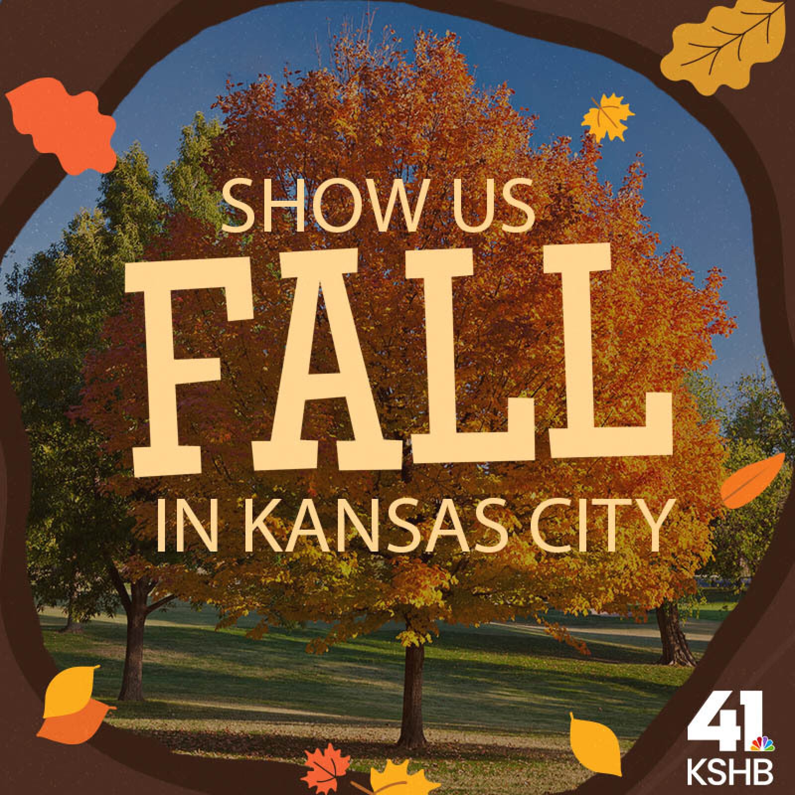 EXPLAINER: What causes leaves, trees to change color during fall in Kansas City?