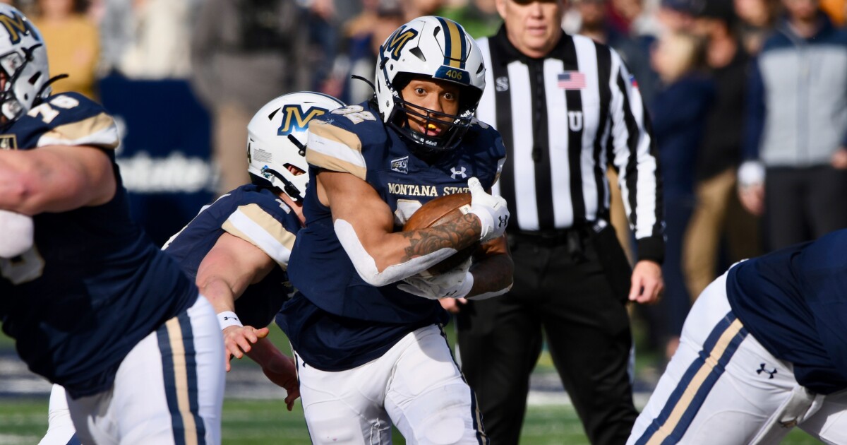 Bobcat Insider: Montana State resets, readies for South Dakota State ...