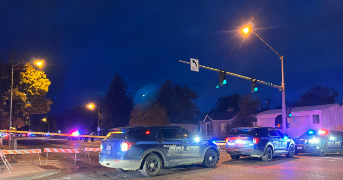 Pedestrian dies after being hit by vehicle; driver flees scene