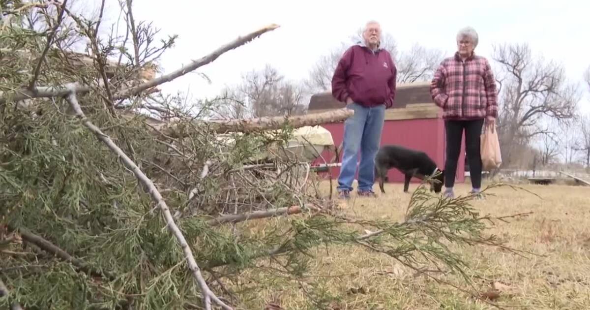 Montana couple distraught after beloved trees destroyed