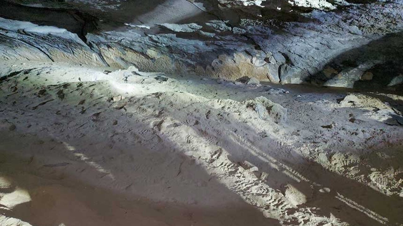 Headless torso found in Idaho cave identified as outlaw who escaped ...