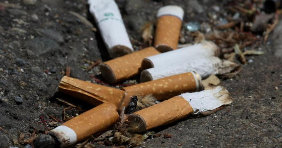 Cigarettes are top plastic pollutant