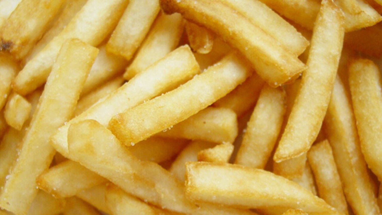 Harvard professor says six French fries is ideal portion size