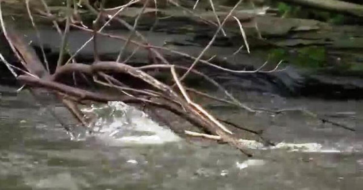 Recent rain makes for dangerous river conditions