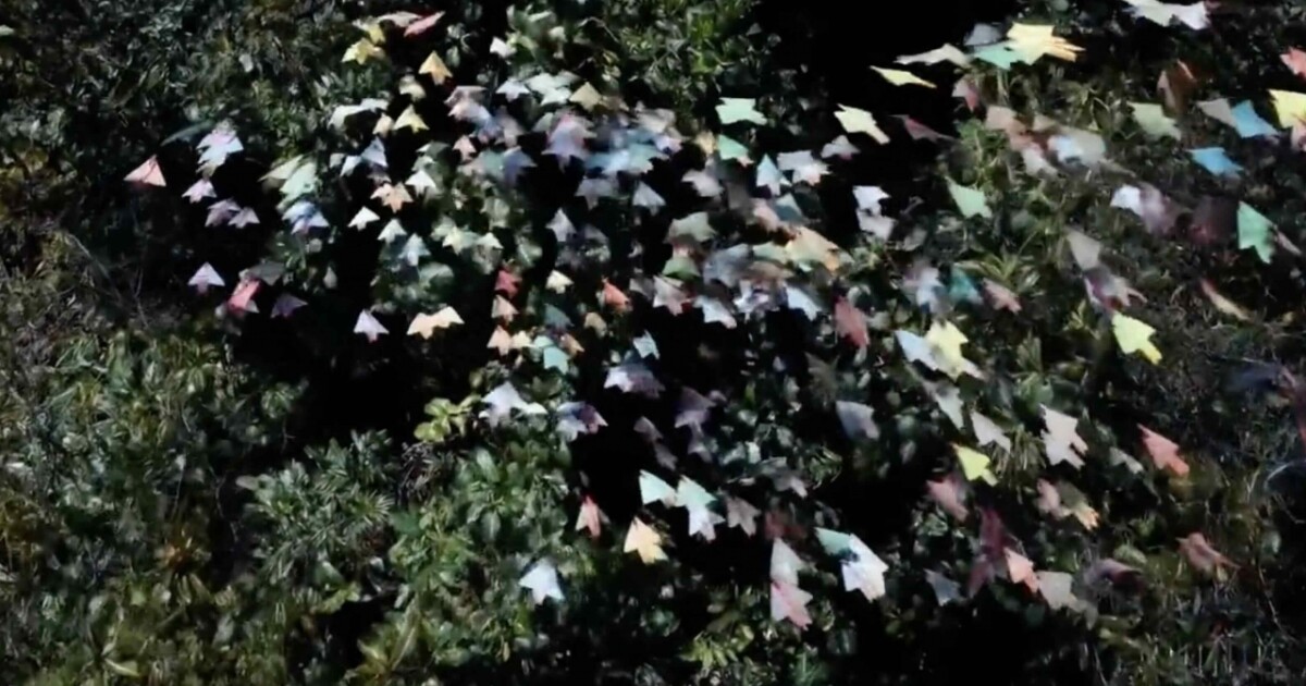 OpenAI Launches Sora: Create Videos From Text – Archyde