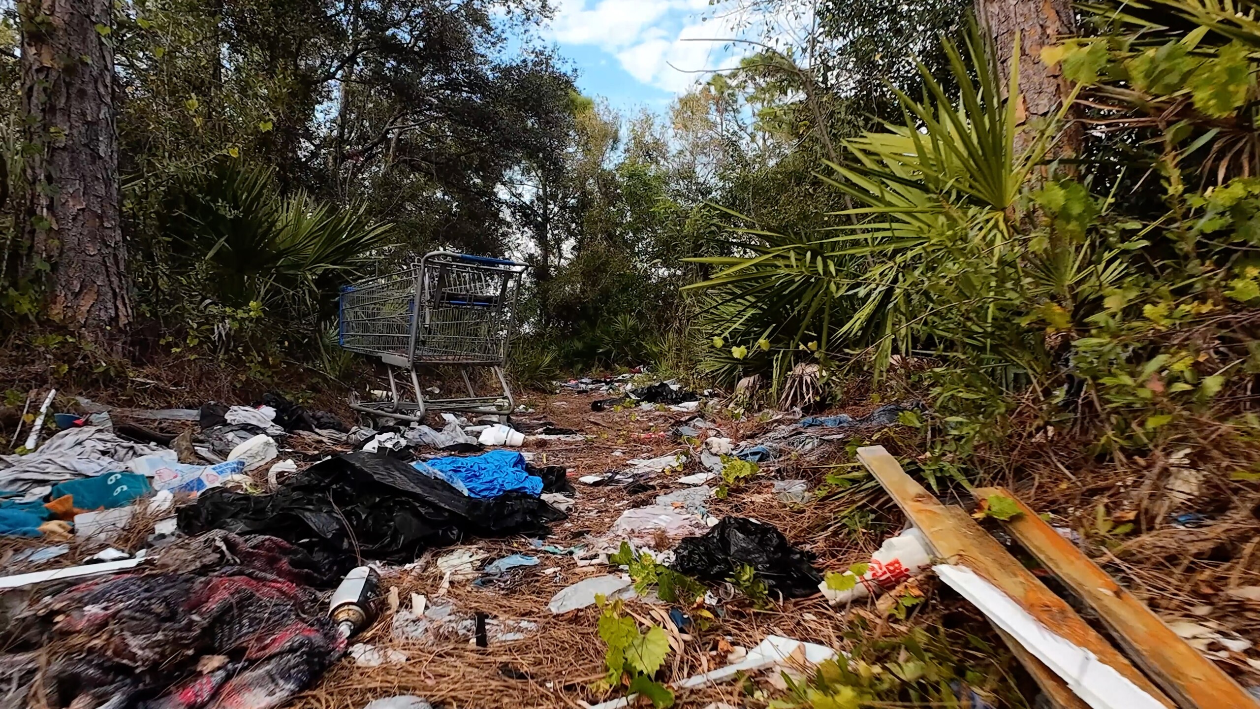 Homeless camp cleared in North Fort Myers amid Florida’s new public ...