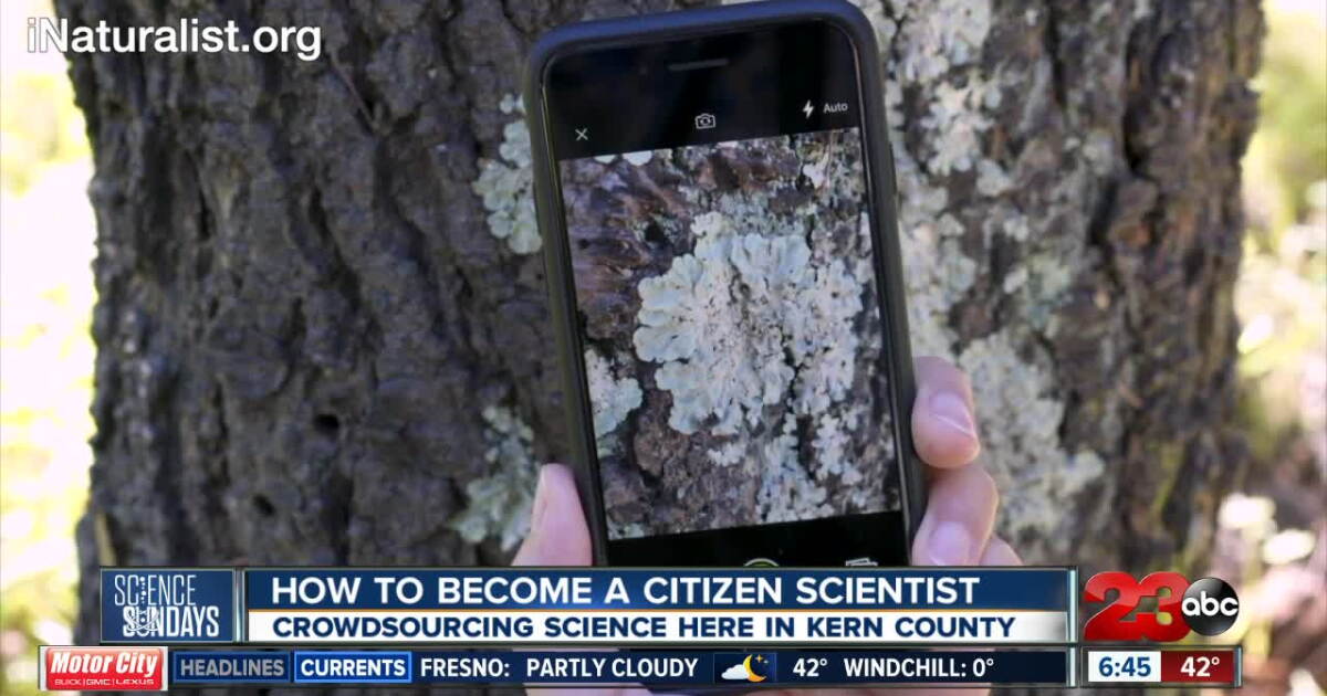 Science Sundays: How to become a Citizen Scientist