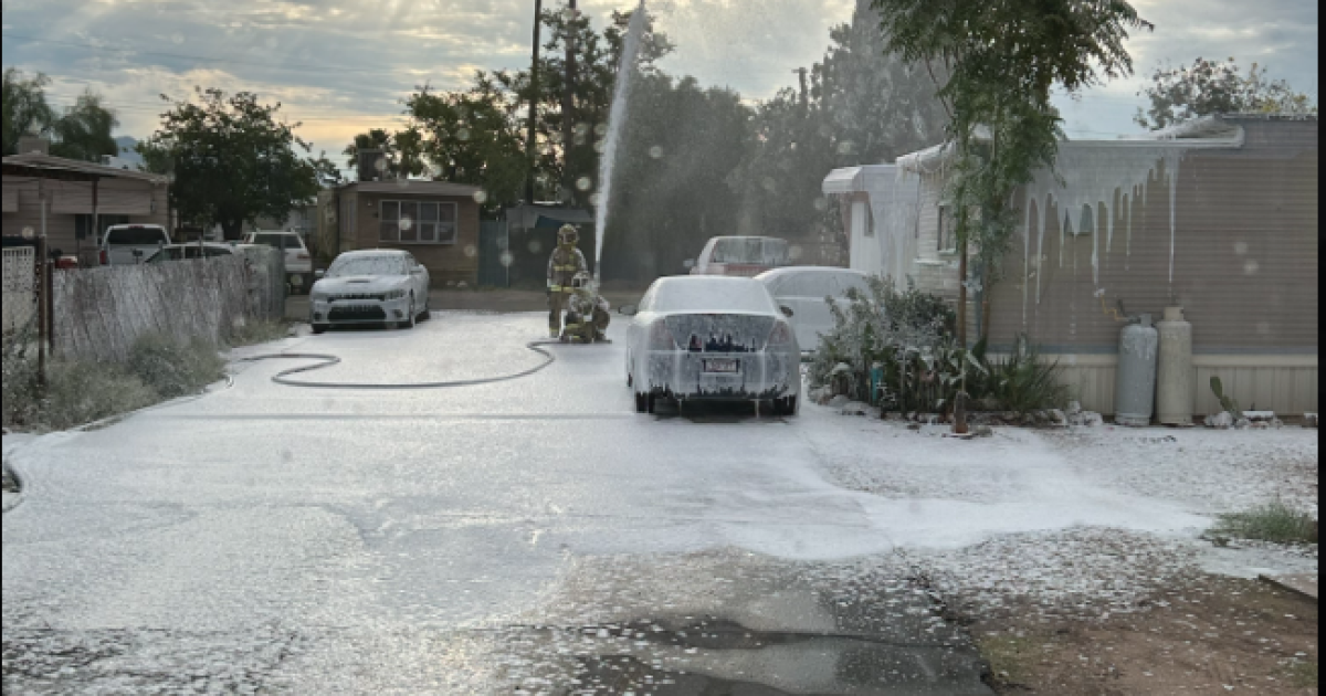 TFD responds to bee swarm