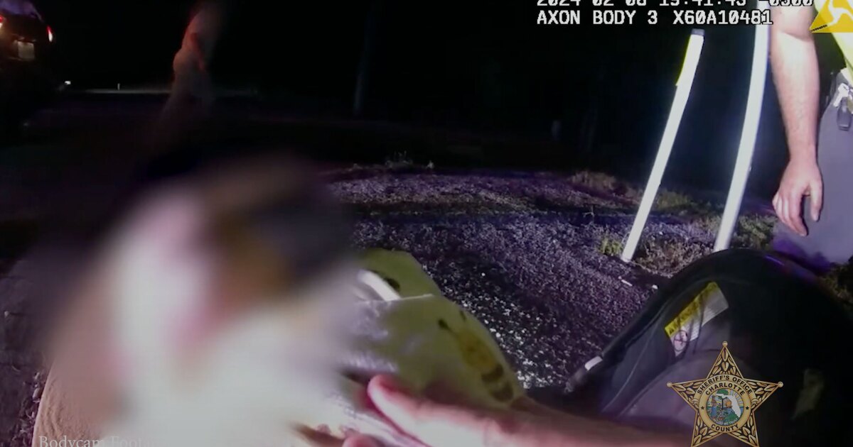 Body camera captures Fla. deputy's dramatic rescue of infant