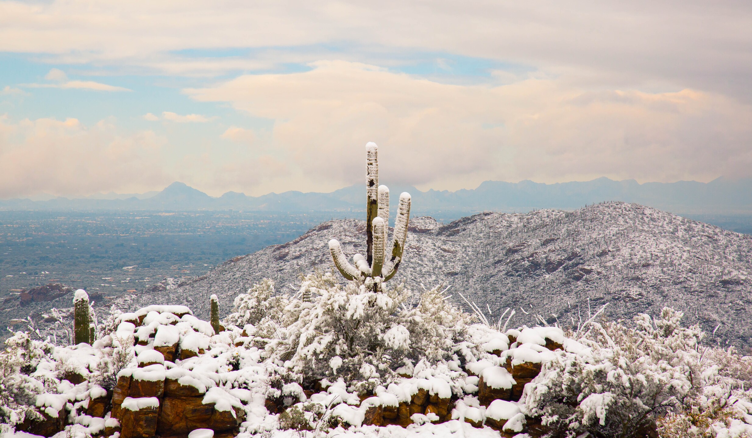 GALLERY: Kicking off the new year, with snow in the desert