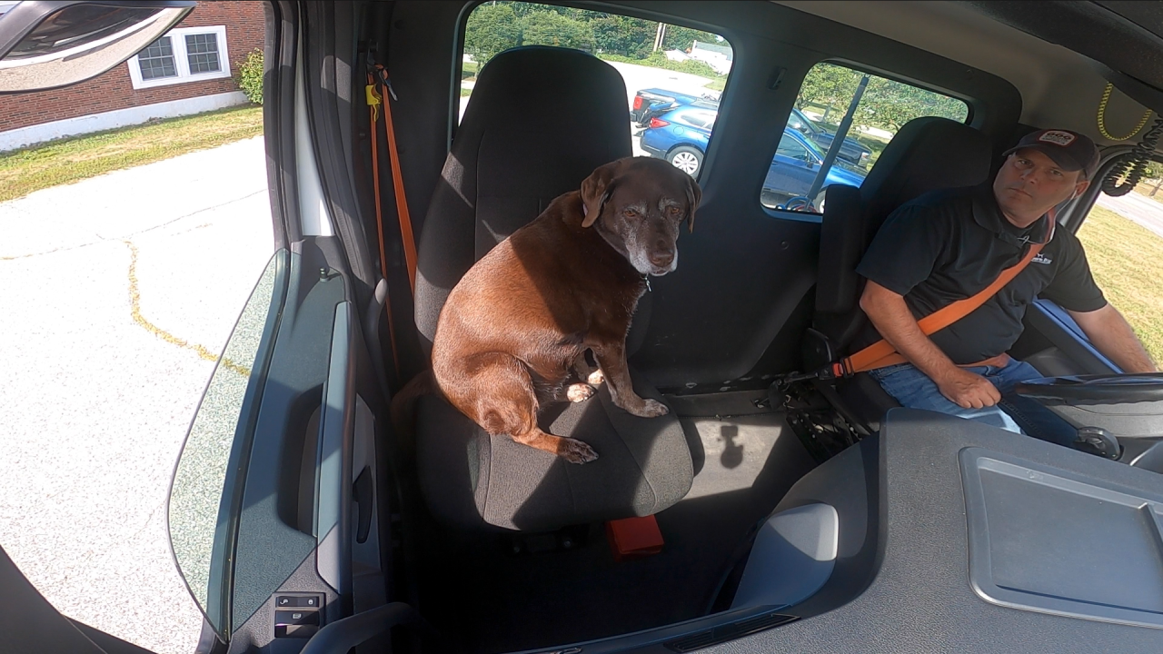 Delivery driver and his dog spreading kindness during COVID-19