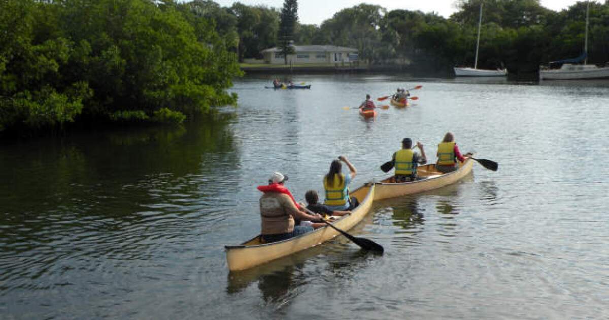 Proposed solution for overcrowding on river