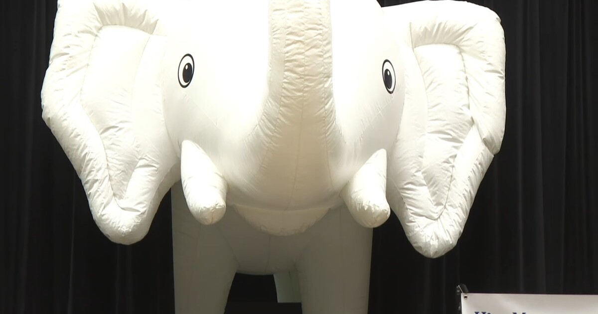 White Elephant in Green Valley distributes $1.75 million to local ...