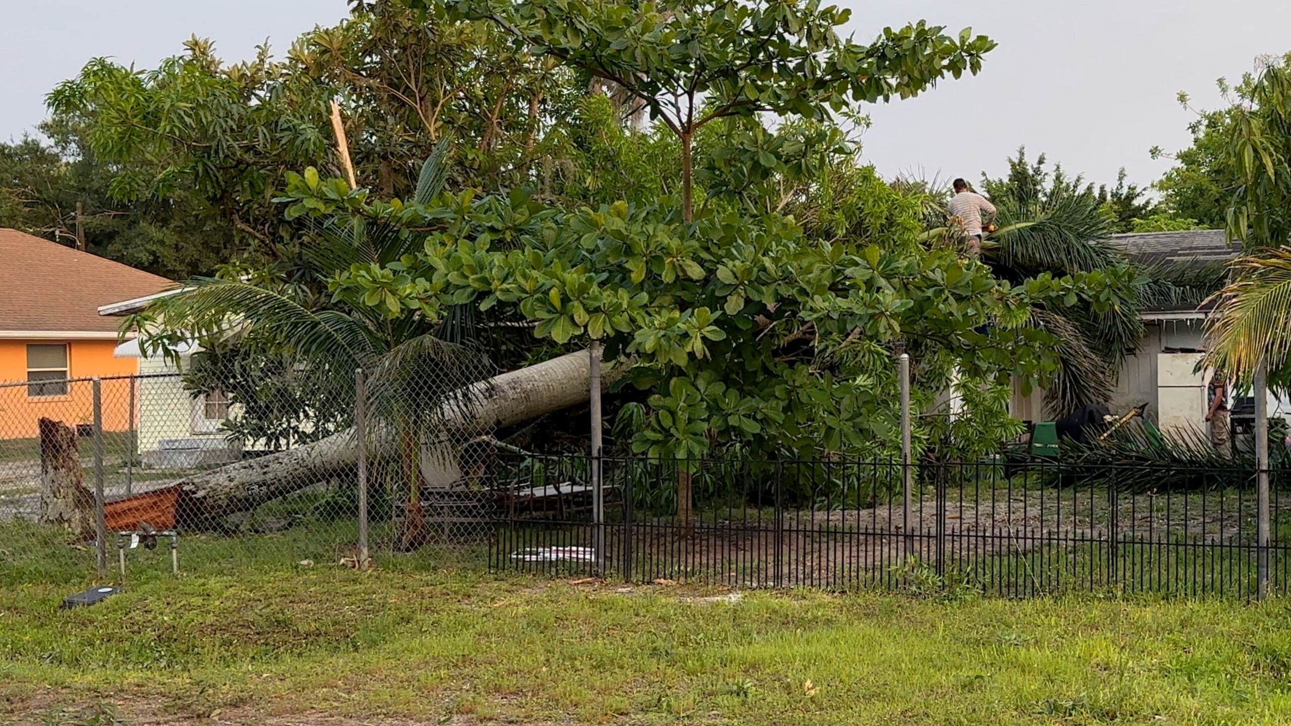 PHOTOS: Severe winds uproot trees and damage homes in Immokalee