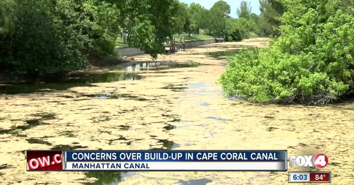 Scum Build Up In Canal Concerns Cape Coral Neighbors