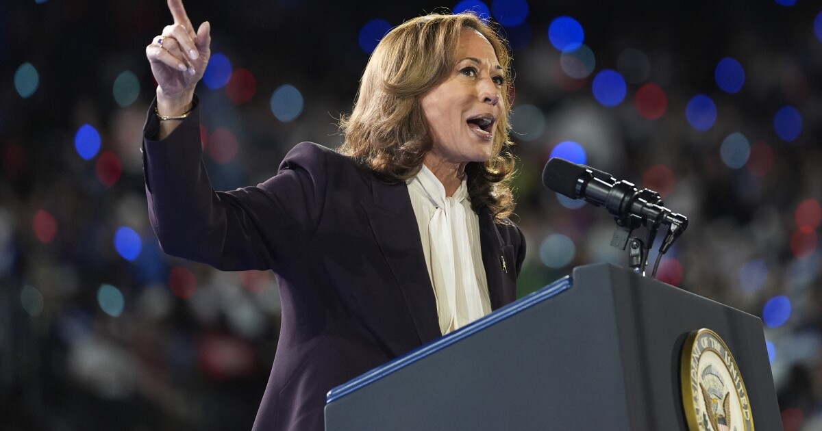 Kamala Harris hosts campaign rally and concert in Madison
