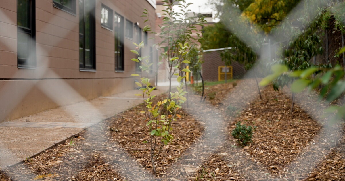 CO high school working to raise $100,000 for community garden after ...
