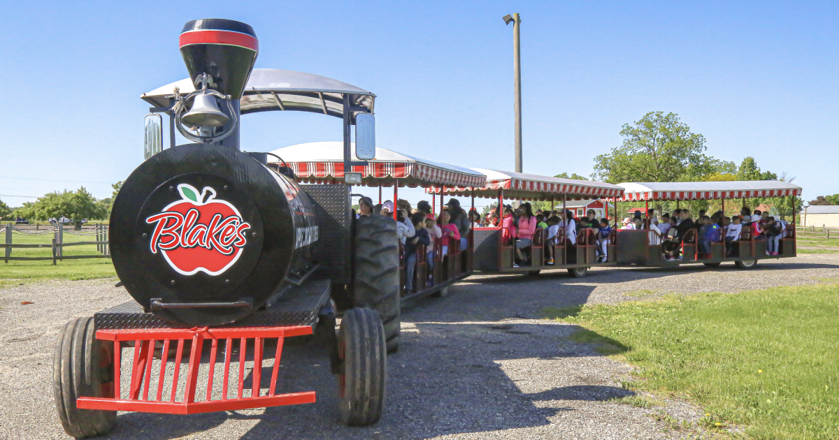 Blake's South Lyon now open